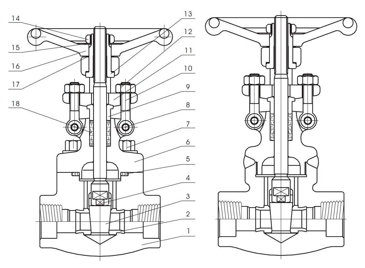 Forged Steel Steam Gate Valve